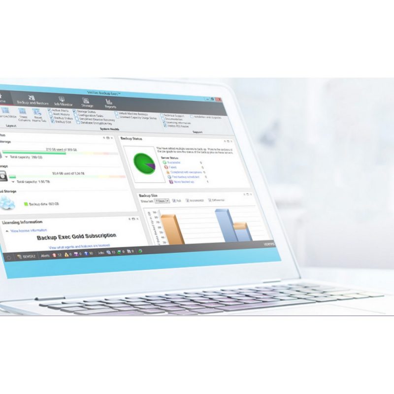 Veritas System Recovery 2016 Virtual Editon for Windows, per Host ...